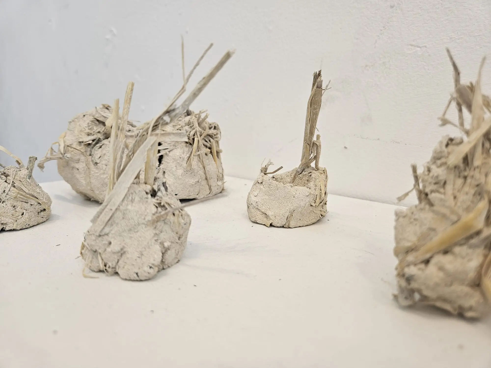 David Nettleingham – 1000 Token Gestures – Salon